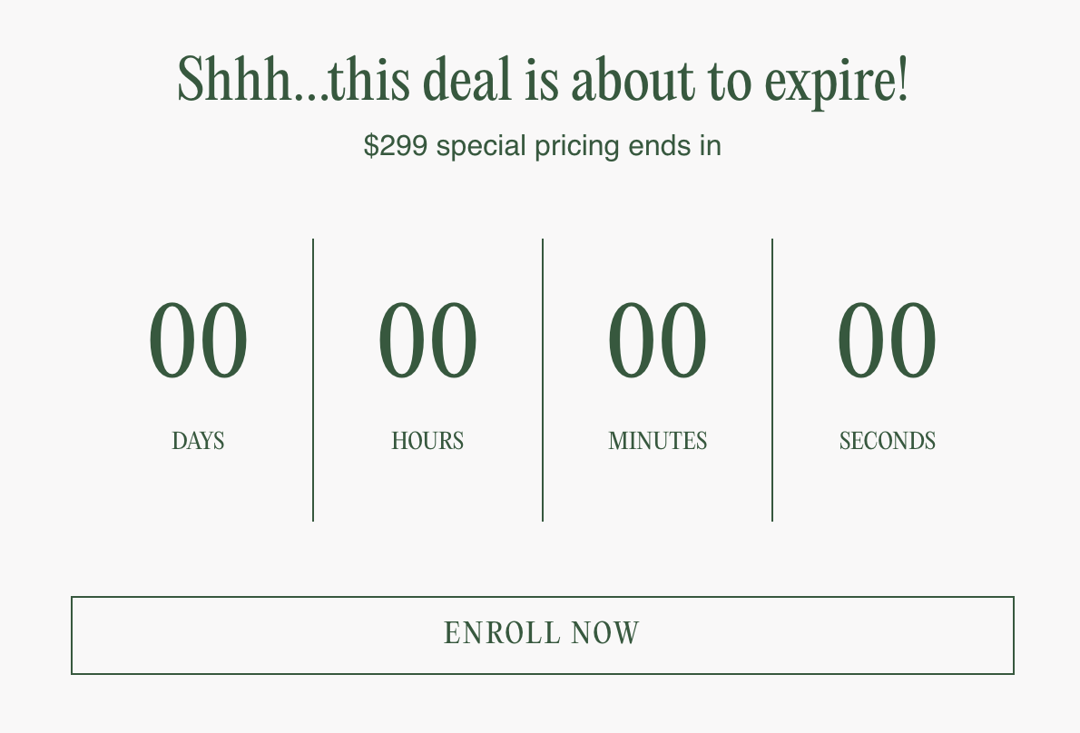 How to Set Up an Email Marketing Campaign in Flodesk - madeonsundays.com